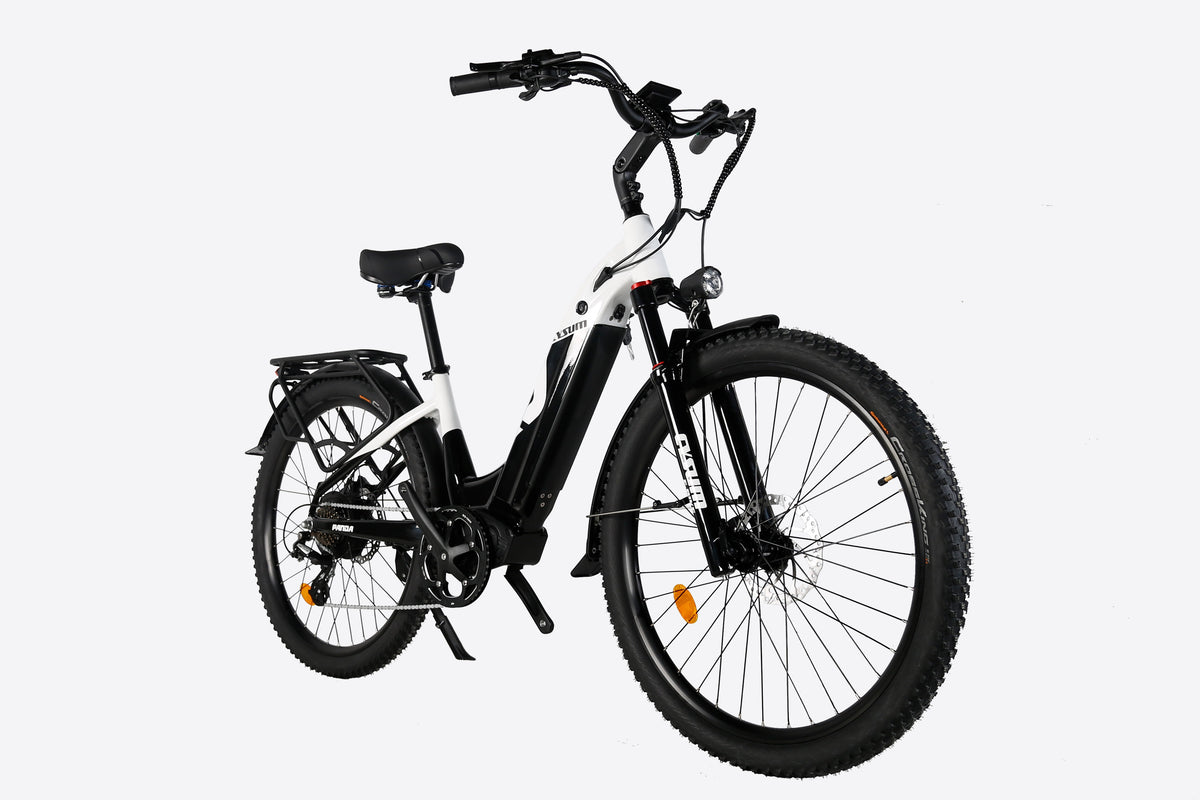 Make Cycling Enrich Your Daily Life – Rich Bit eBike