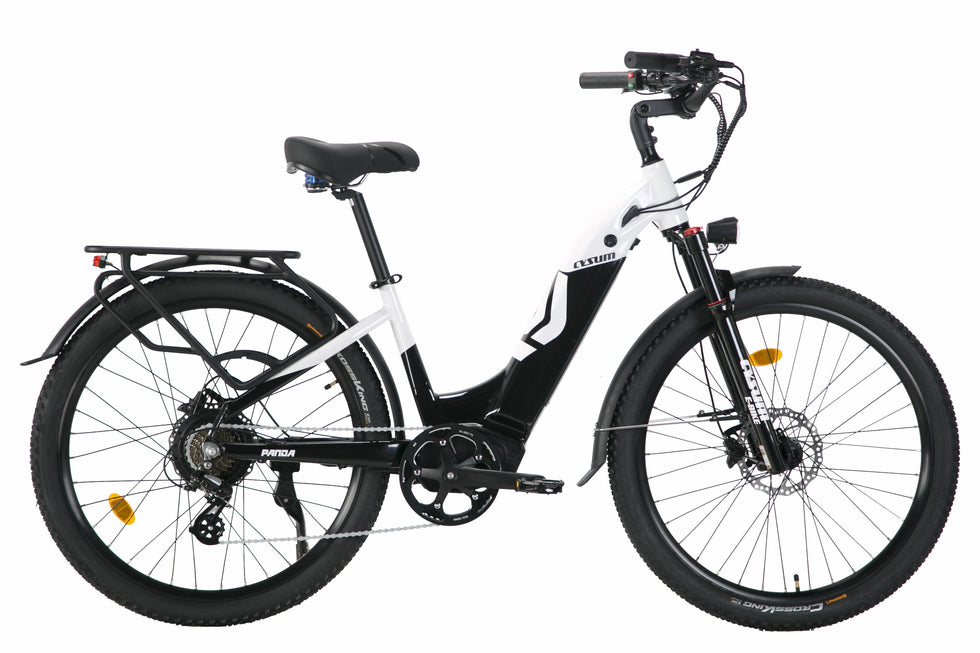Make Cycling Enrich Your Daily Life – Rich Bit eBike