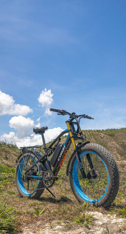 RICHBIT E-bike Store, Offer Diverse Option to Customerise Your E-bike ...