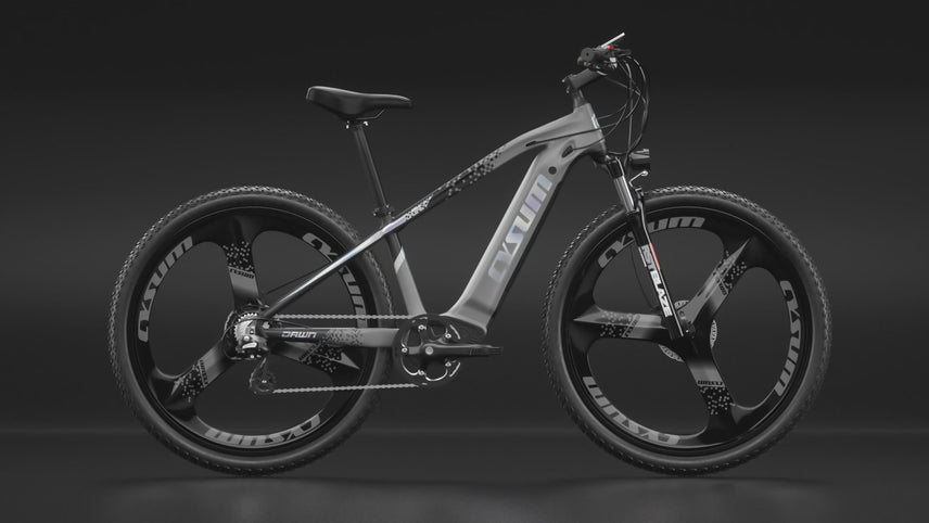 Make Cycling Enrich Your Daily Life – Rich Bit eBike