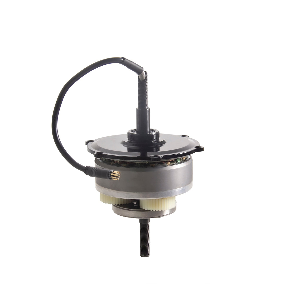 RICH BIT TOP-860 Integrated Wheel Brushless Motor 36v 250w Inner Engin ...